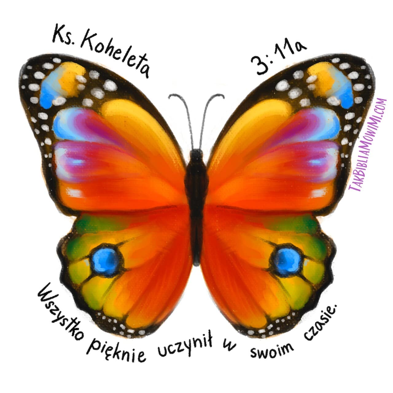 Naklejka – Motyl - Szaron