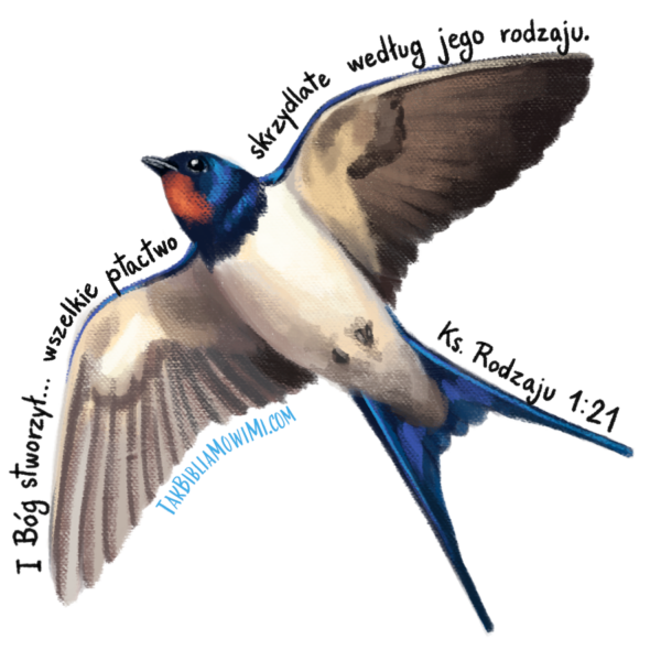 Naklejka - Jaskółka - Szaron